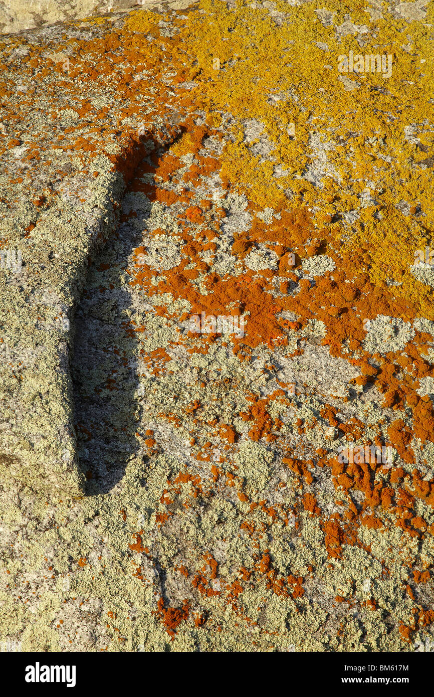 Formation of lichen hi-res stock photography and images - Alamy