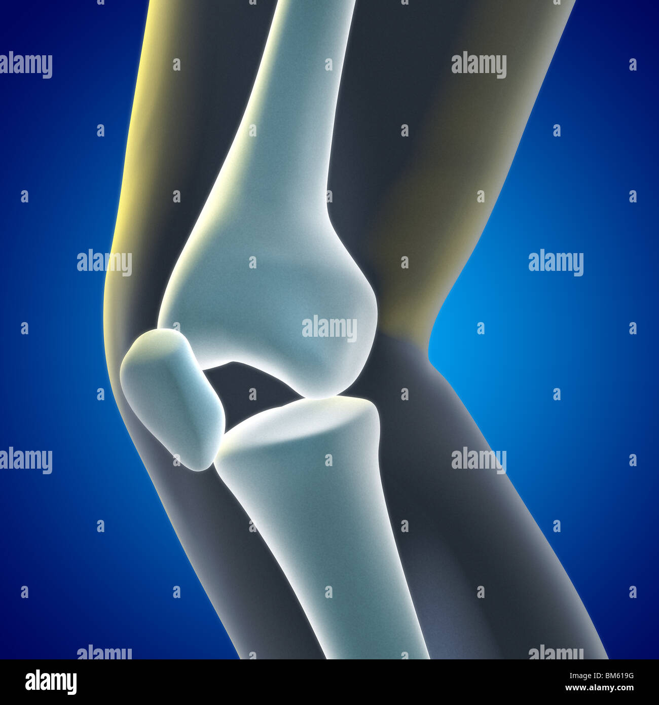 Ball and socket joints hi-res stock photography and images - Alamy