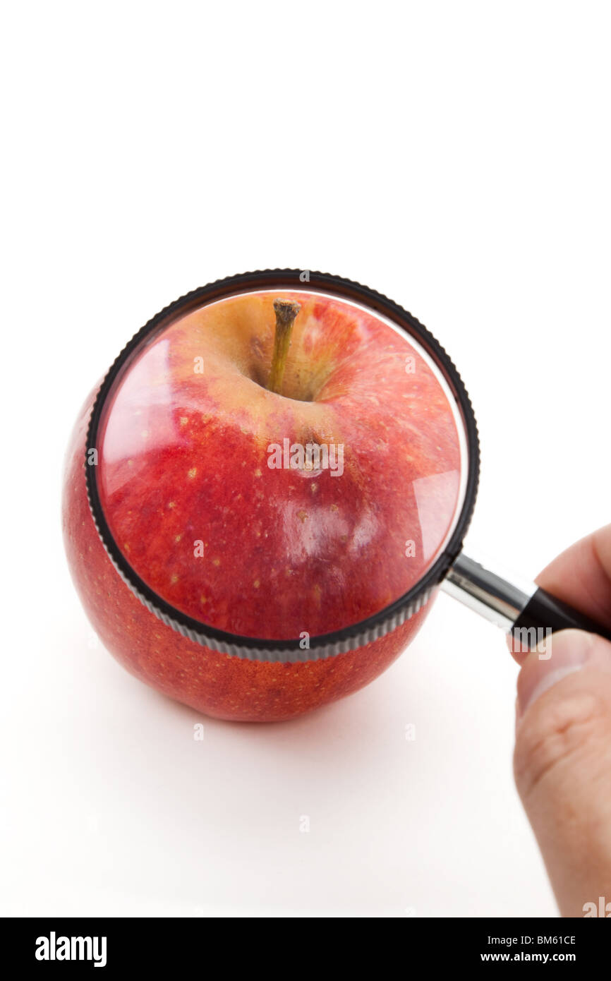 Red apple and Magnifier with white background Stock Photo - Alamy