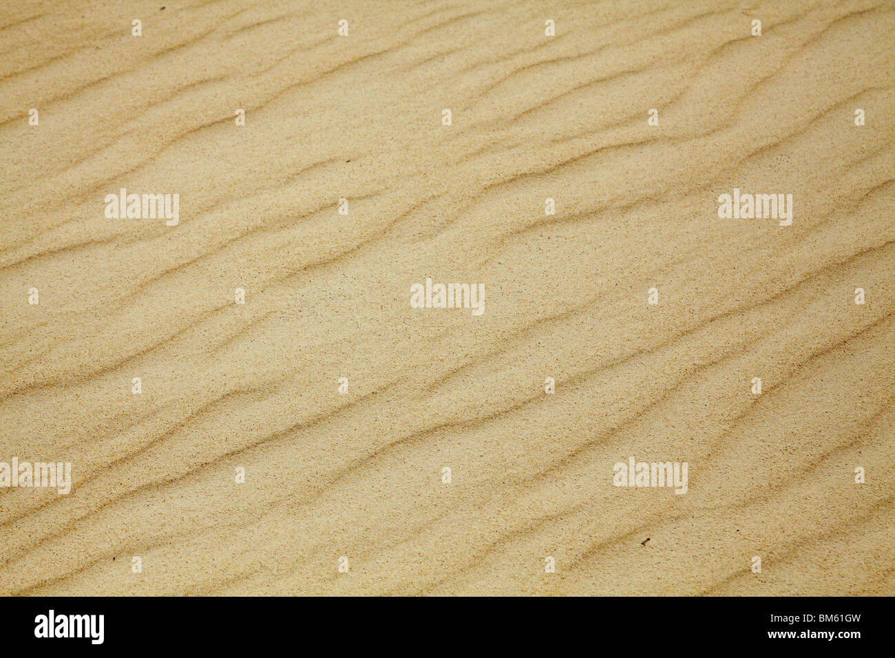 Sand Ripples, Henty Dunes, Strahan, Western Tasmania, Australia Stock ...