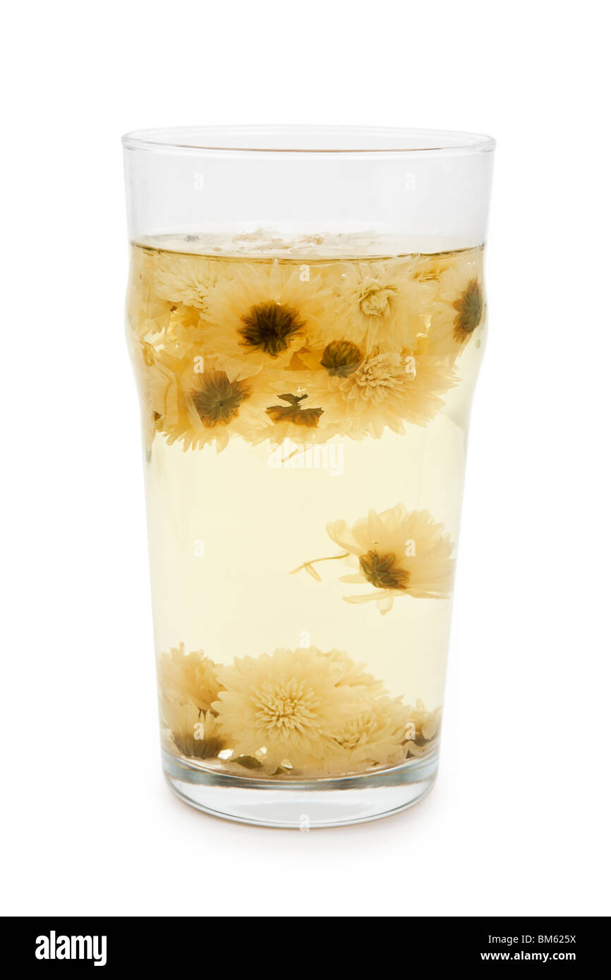 Close up flower chrysanthemum Cut Out Stock Images & Pictures - Alamy