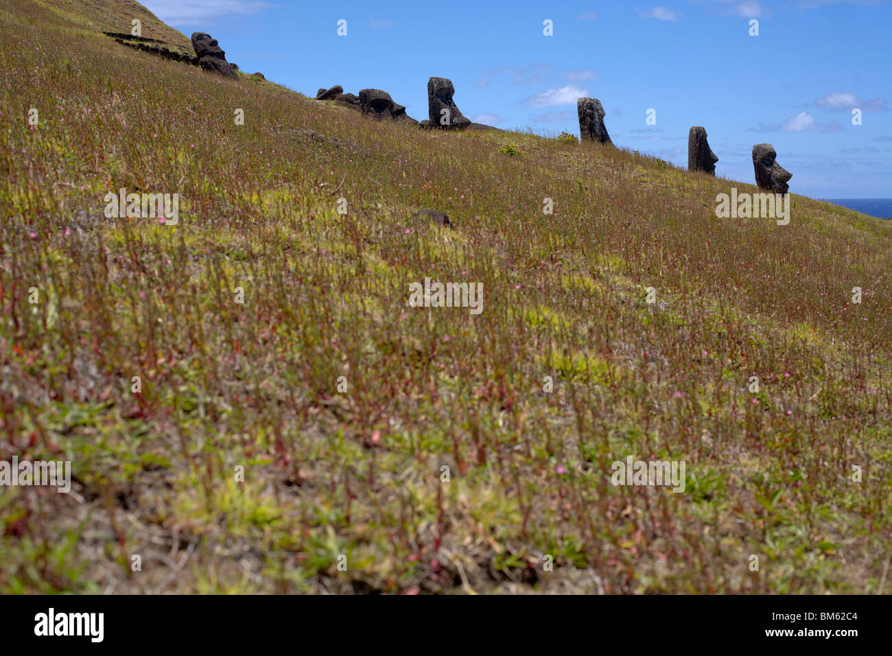 Big statues called moai in the quarry Rano Raraku at Easter Island ...