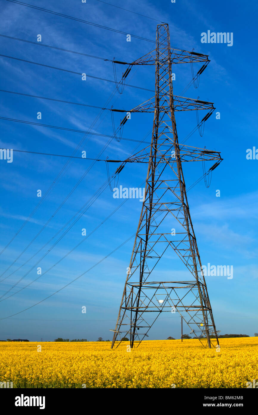 Pylon & Power Cables Stock Photo - Alamy
