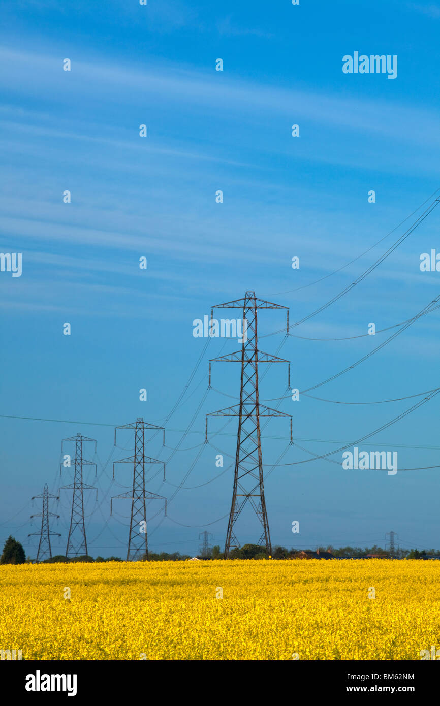 Power Cables & Pylons Stock Photo - Alamy
