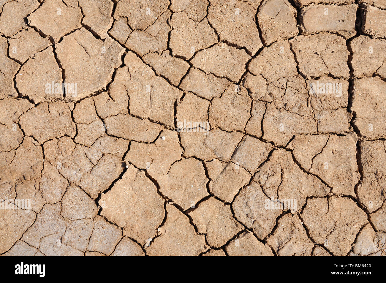 Cracked desert earth Stock Photo - Alamy