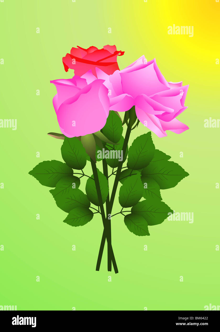 Three blossoming rose flower isolated on green (rasterize from vector ...