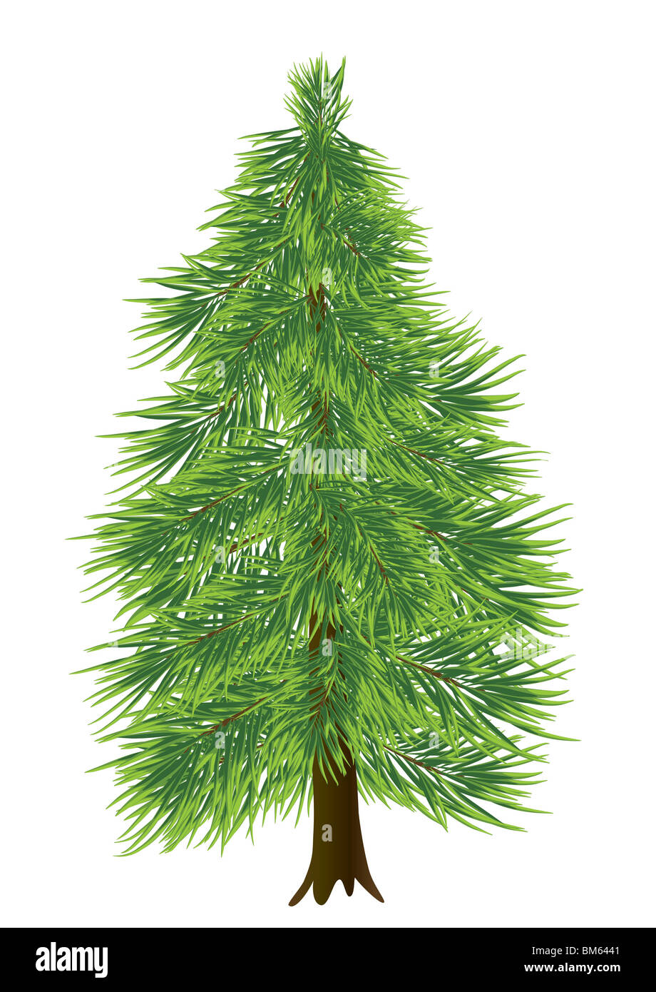 coniferous tree isolated on white (rasterize from vector illustration ...