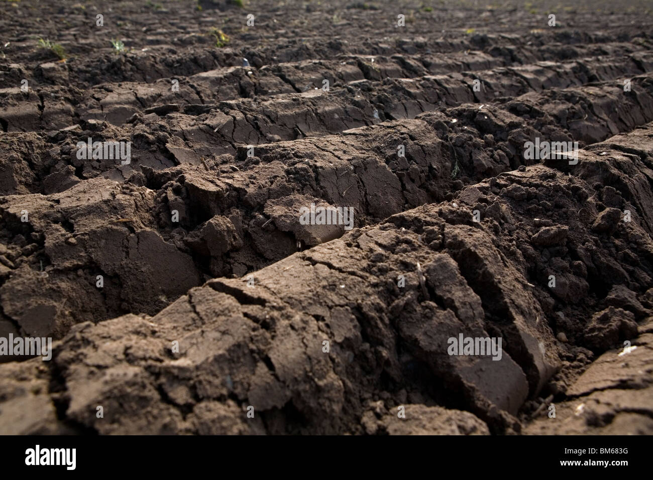 Ploughed ridges hi-res stock photography and images - Alamy