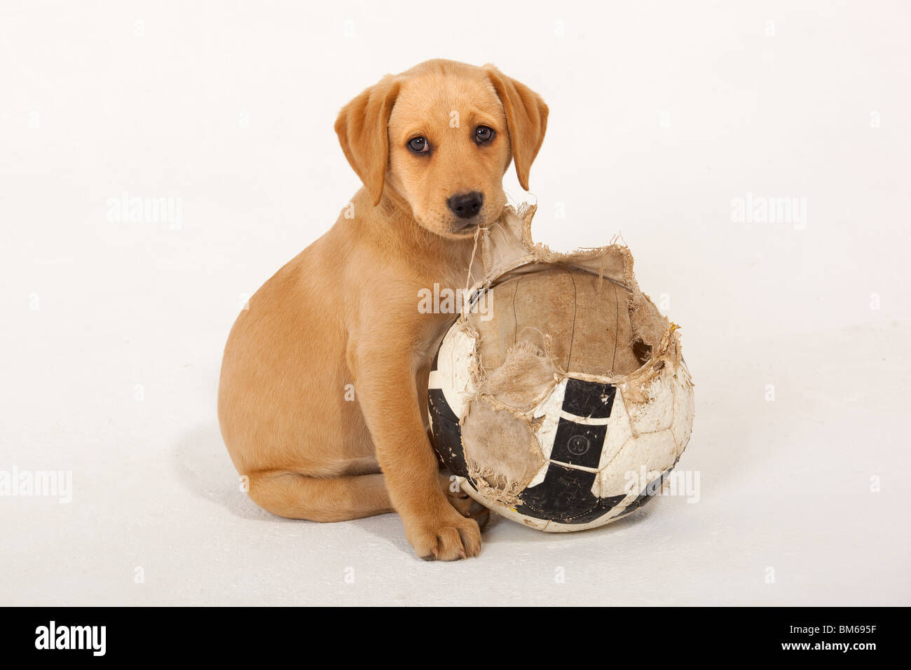 Cute baby playing football hi-res stock photography and images - Alamy