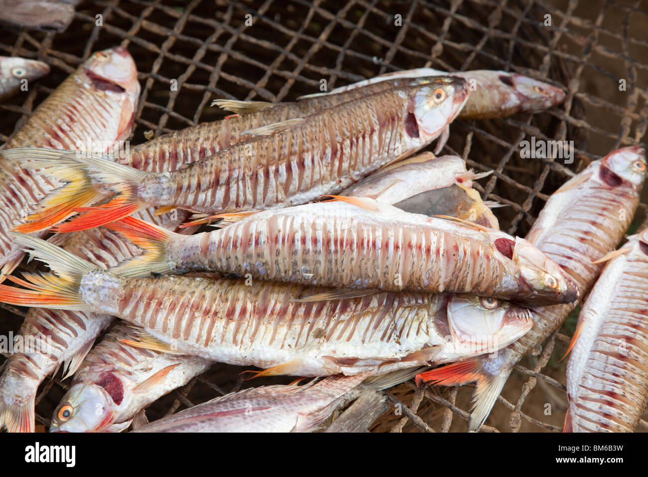 Woman sells fish africa hi-res stock photography and images - Alamy