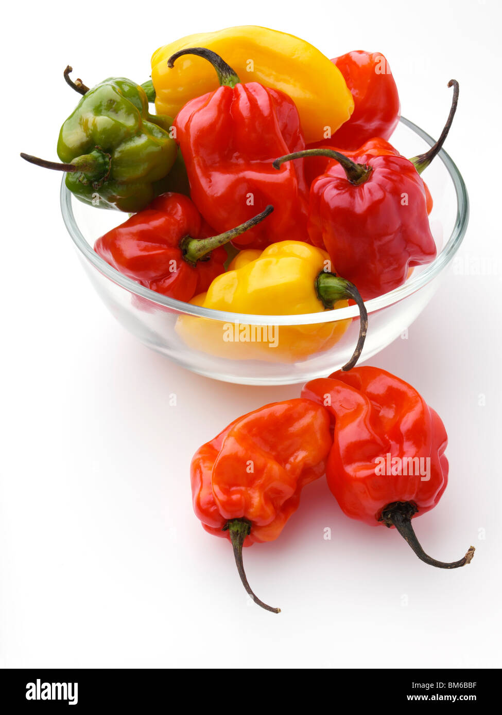 Scotch bonnet chilli peppers Stock Photo - Alamy
