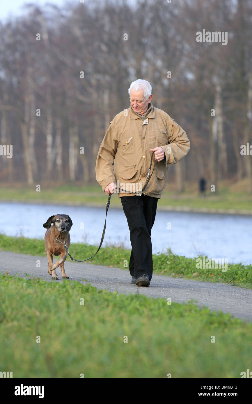 Senior walk with old dog Stock Photo - Alamy