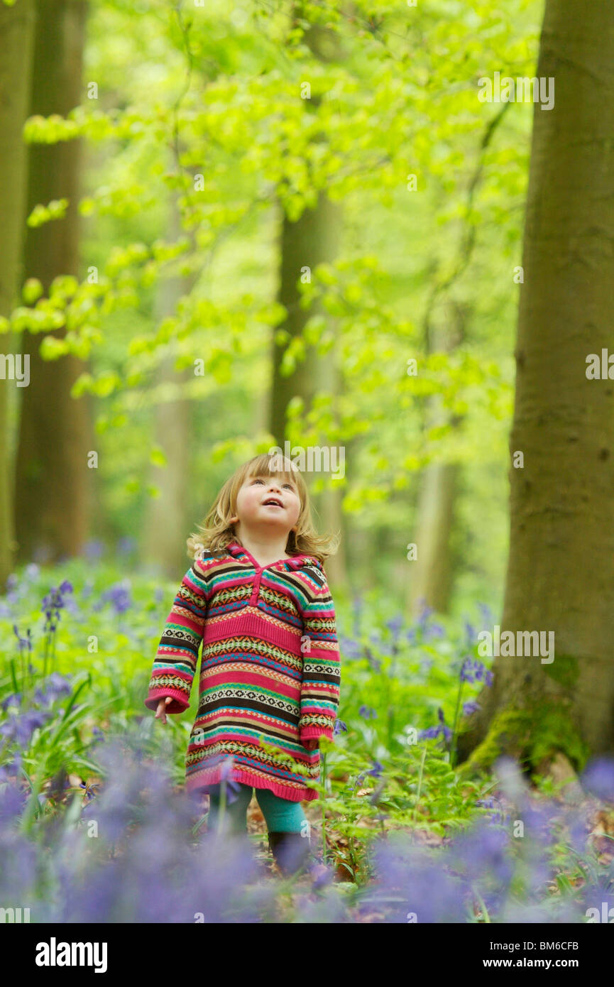 toddler looking up at the trees Stock Photo - Alamy