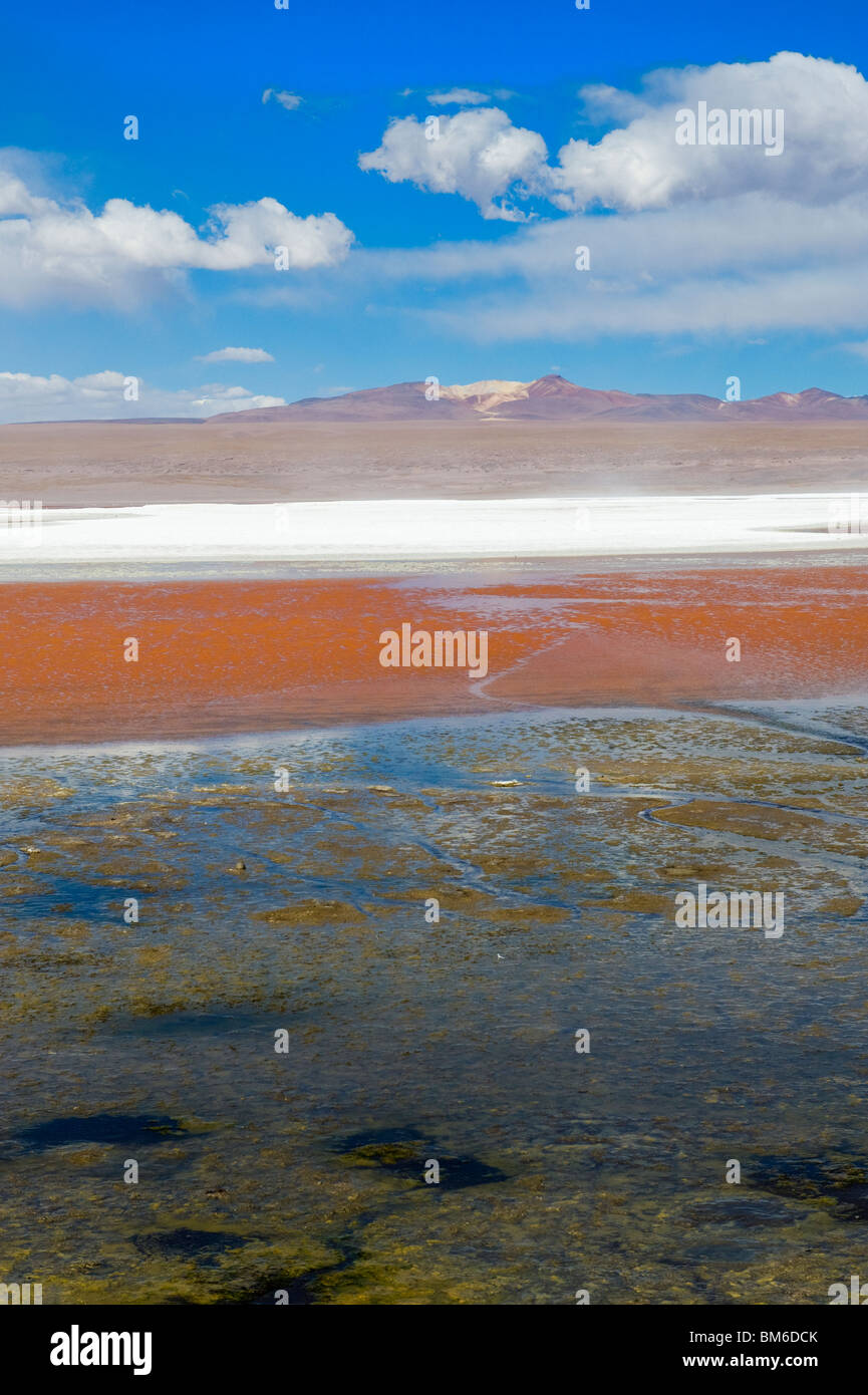Laguna Colorada, Red Lagoon, Altiplano Shallow Salt Lake, Potosi ...
