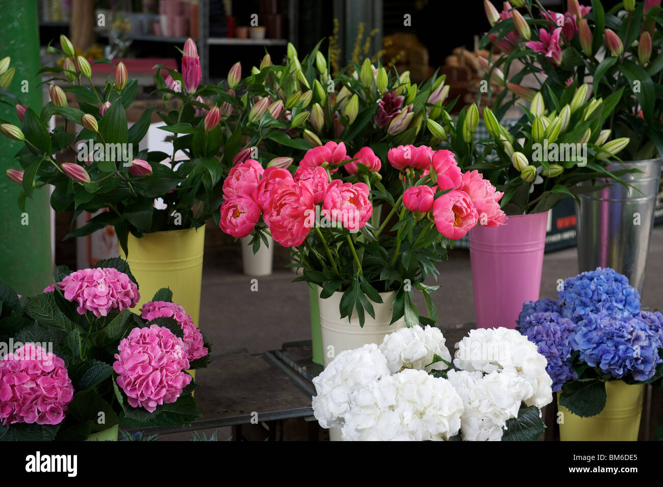 Flower stall with pink peonies Stock Photo - Alamy