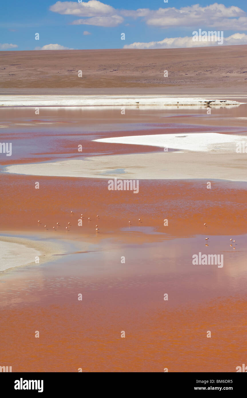 Reserva de red hi-res stock photography and images - Alamy