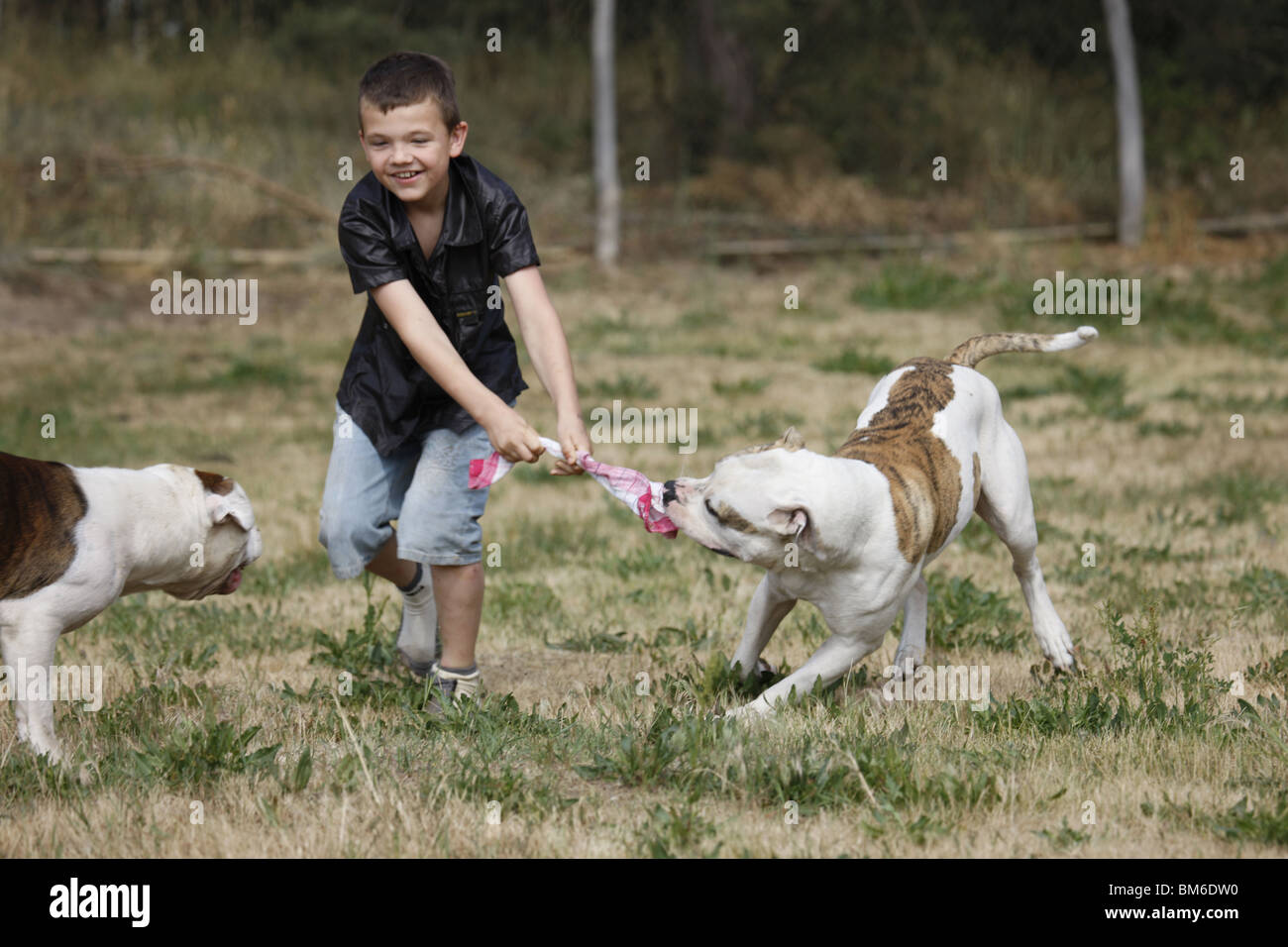 Kid playing tug with dog hi-res stock photography and images - Alamy