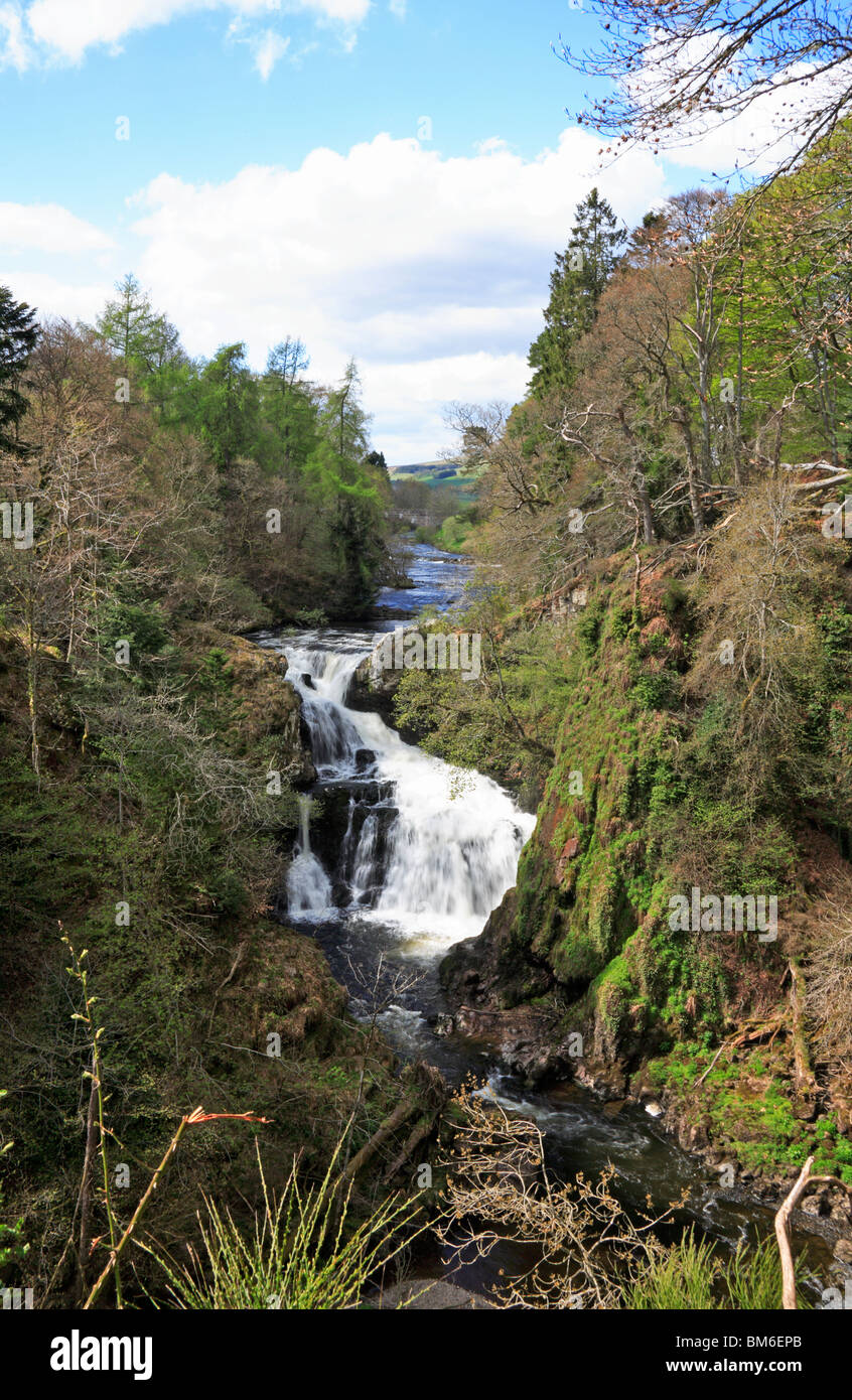 Reekie Linn falls downstream of the Bridge of Craigisla, Angus ...