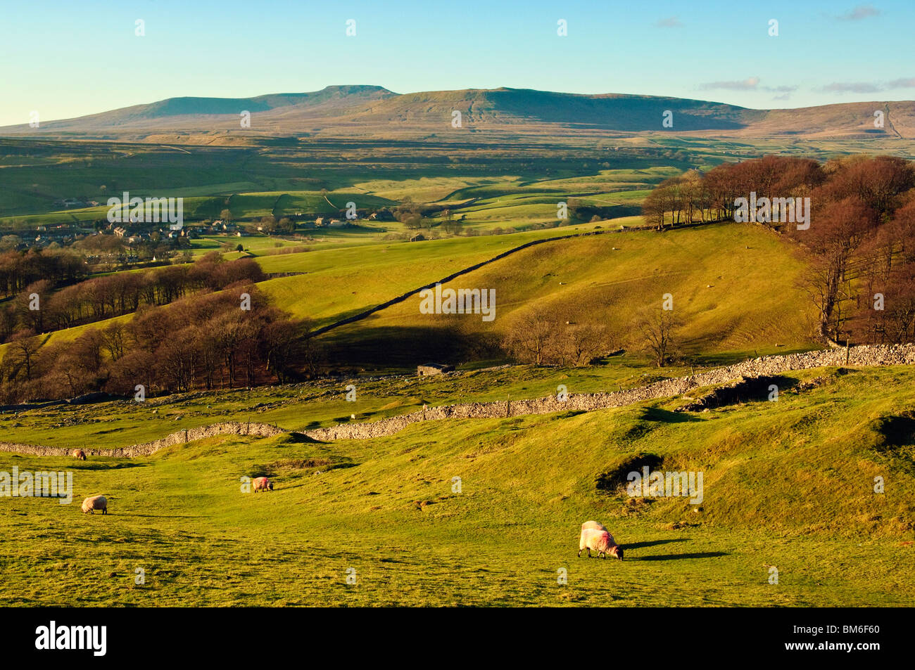 View over Ribblesdale in the Yorkshire Dales National Park, England ...