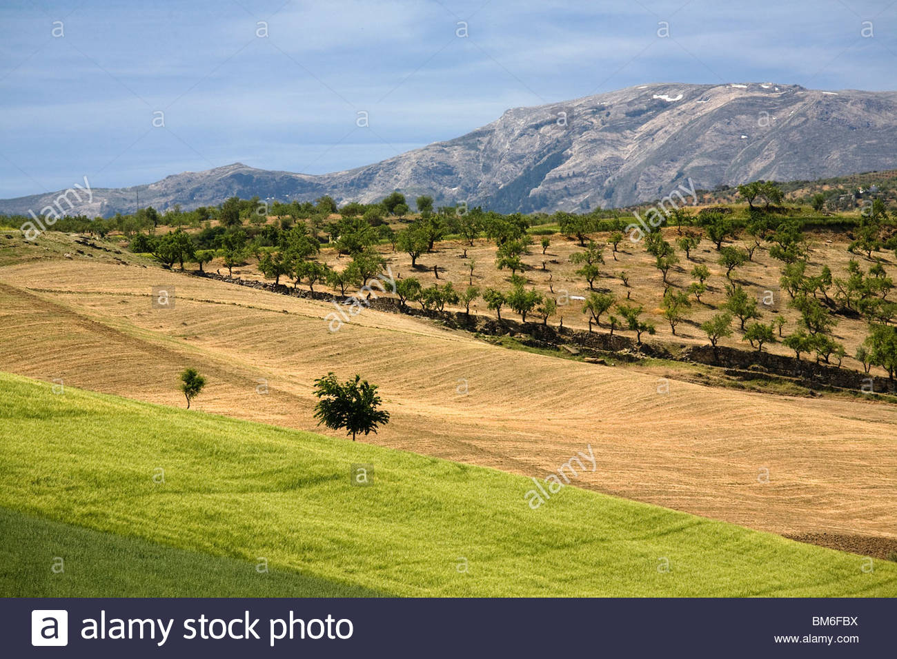 Alhama Stock Photos & Alhama Stock Images - Alamy