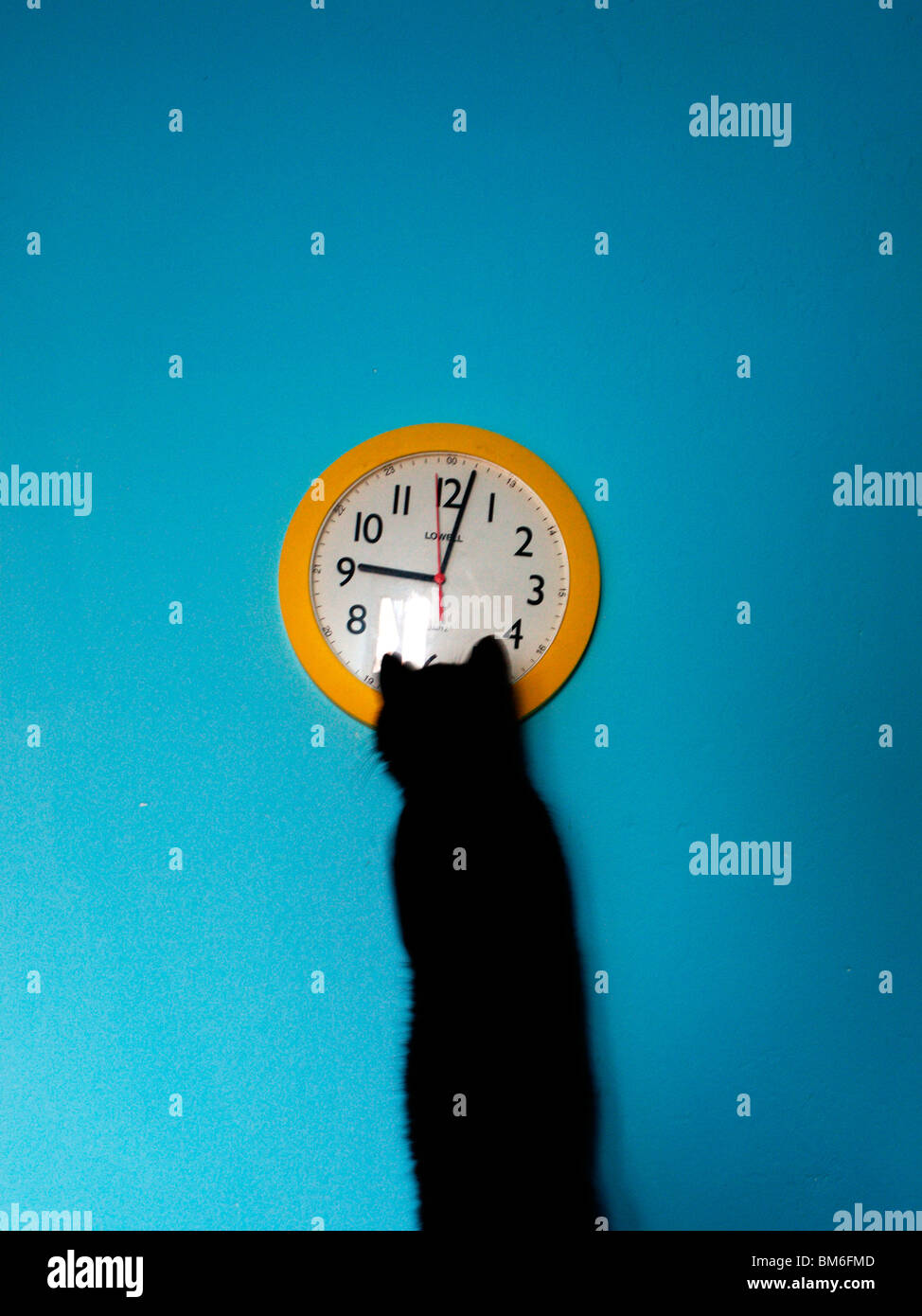 cat playing with a wall clock Stock Photo - Alamy