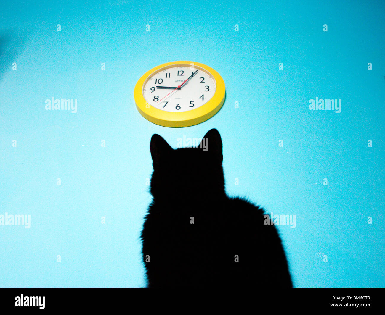 cat playing with a wall clock Stock Photo - Alamy