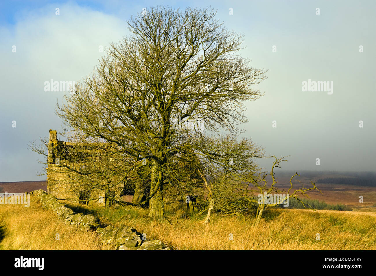 Ruins of Fell End farm on Waddington Fell, Forest of Bowland ...