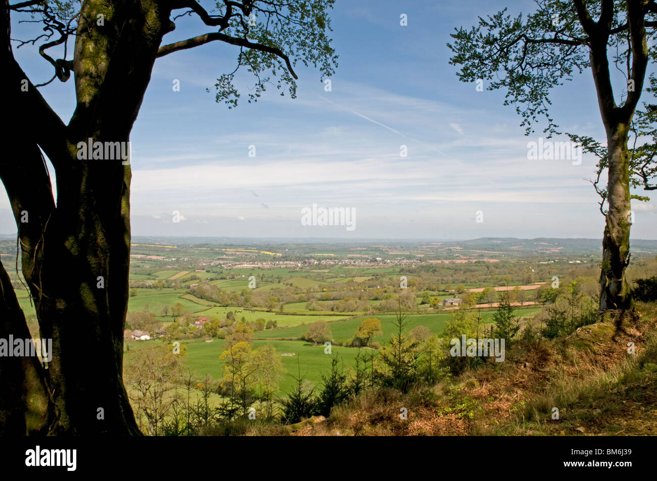 River otter devon hi-res stock photography and images - Alamy