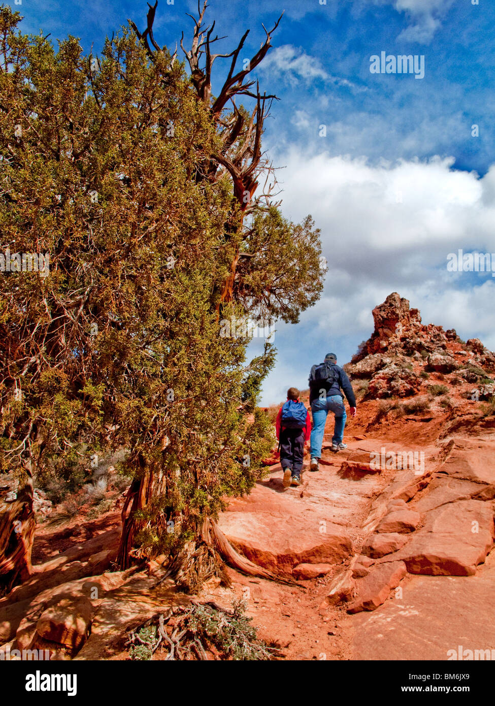 Passing exercises hi-res stock photography and images - Alamy