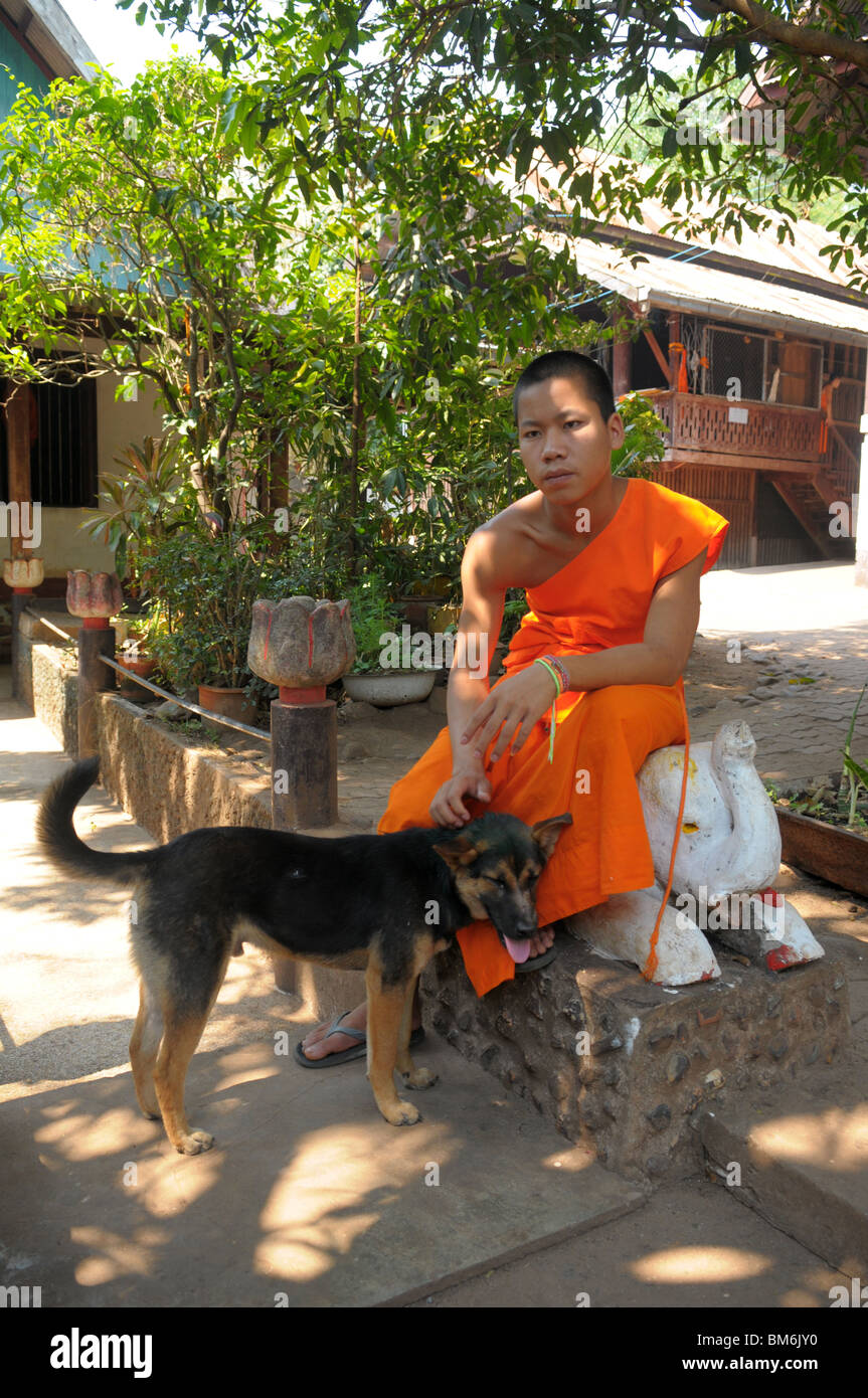 Thai temple and dog hi-res stock photography and images - Alamy
