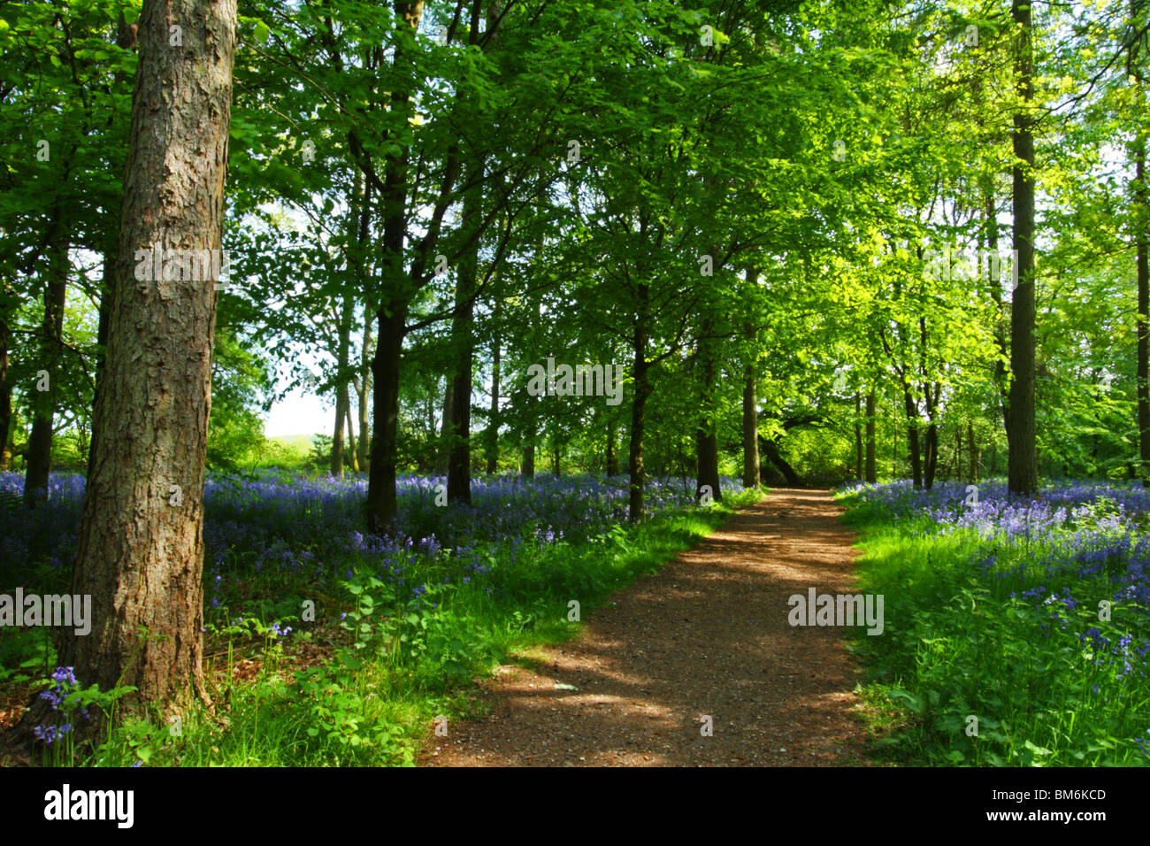 Buckinghamshire border hi-res stock photography and images - Alamy