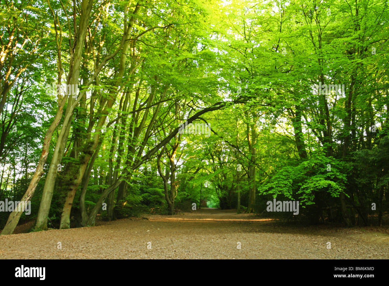 Downley common hi-res stock photography and images - Alamy