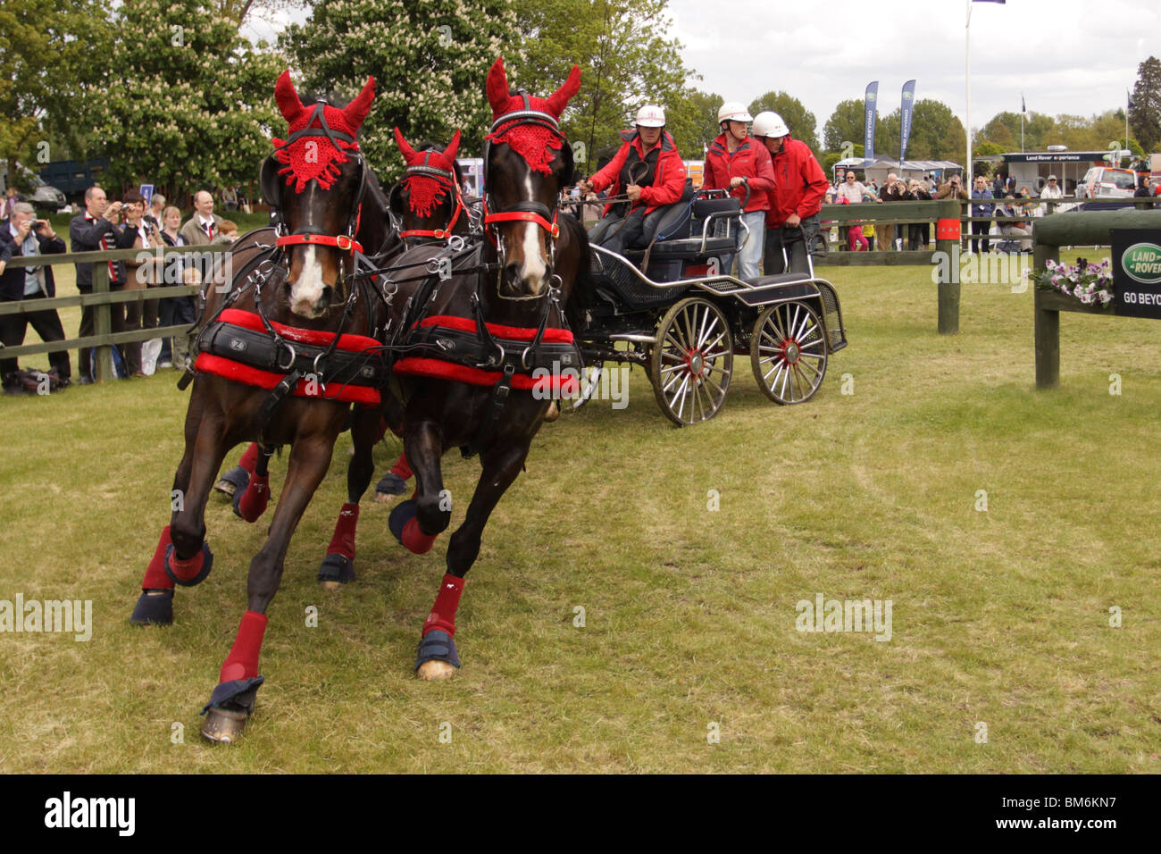 Driving horse carriage hi-res stock photography and images - Alamy