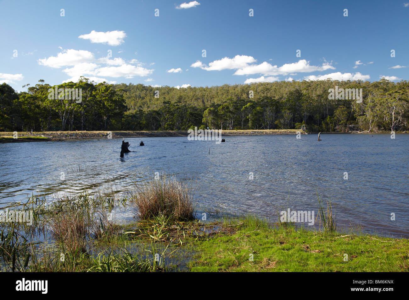 Australian natural forest hi-res stock photography and images - Alamy