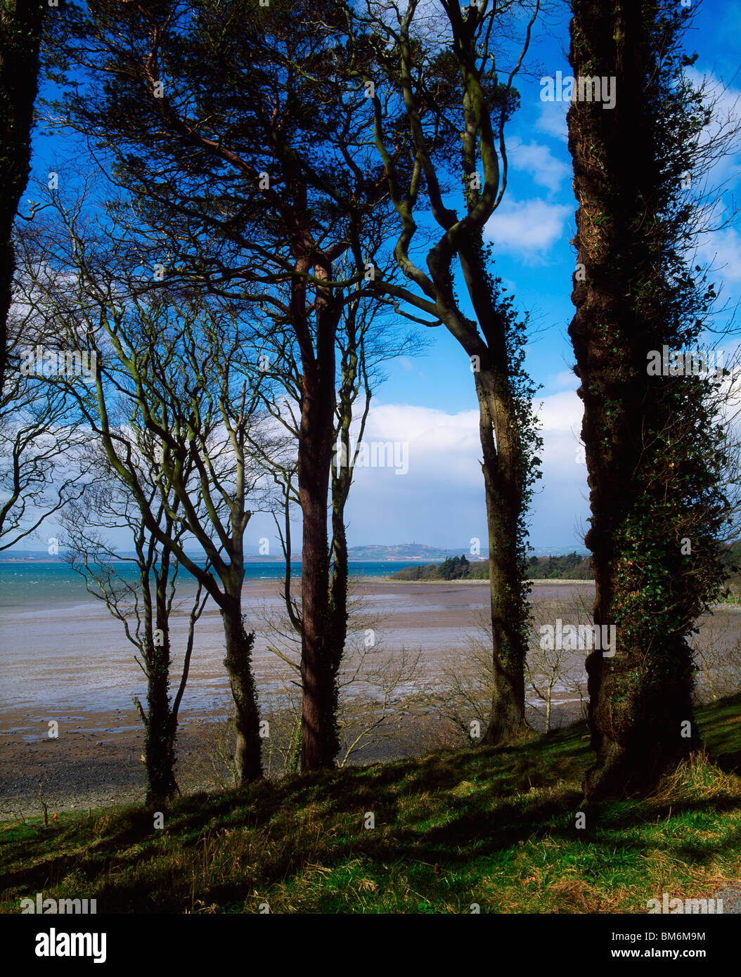 Strangford Lough, Mount Stewart, Co Down, Ireland Stock Photo - Alamy