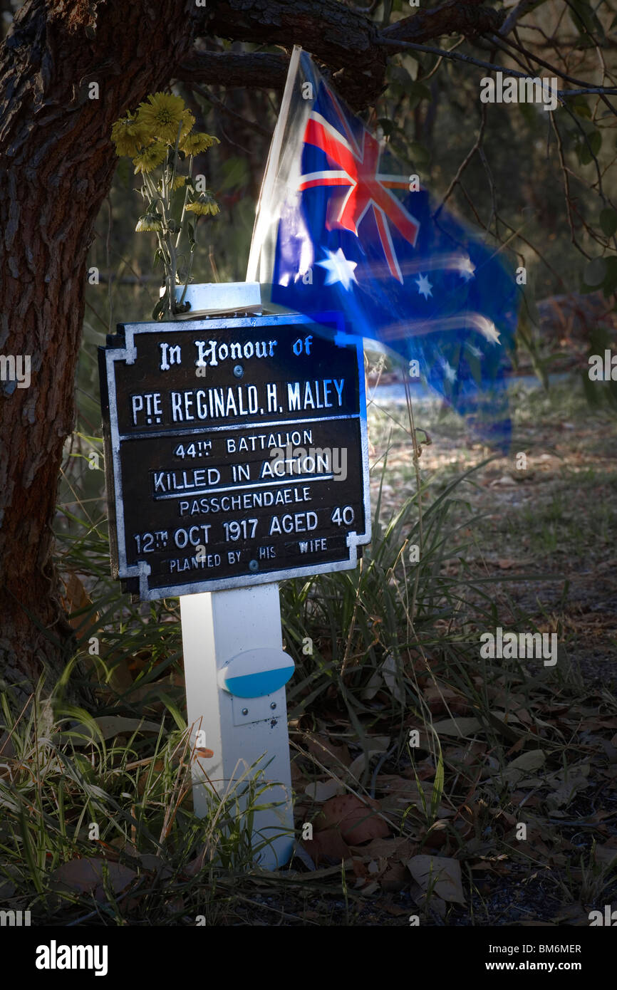 World war 1 soldiers australia hi-res stock photography and images - Alamy