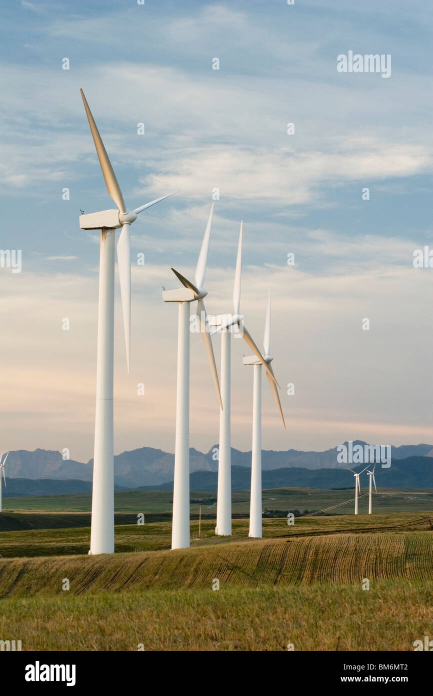 Pincher Creek, Alberta, Canada; Wind Turbines In A Row And Mountains In ...