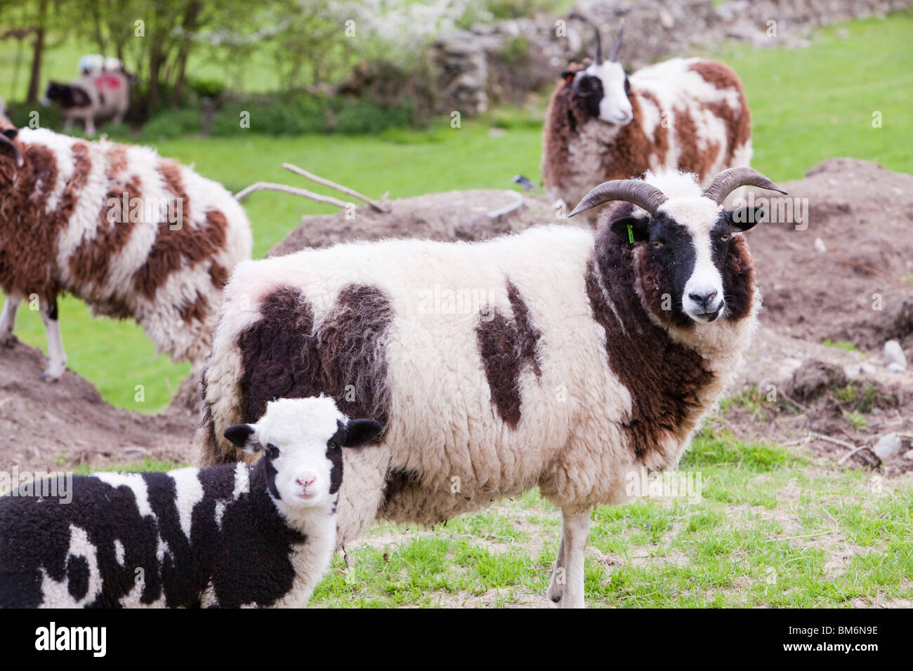 Lyth valley spring hi-res stock photography and images - Alamy
