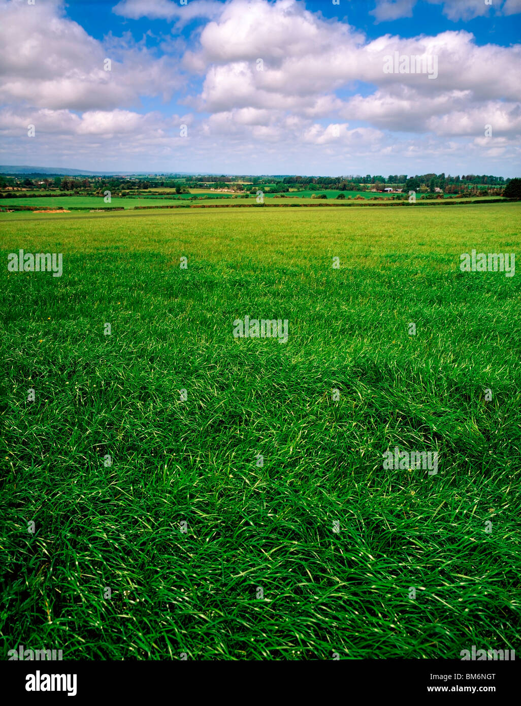 Bunclody co wexford ireland hi-res stock photography and images - Alamy