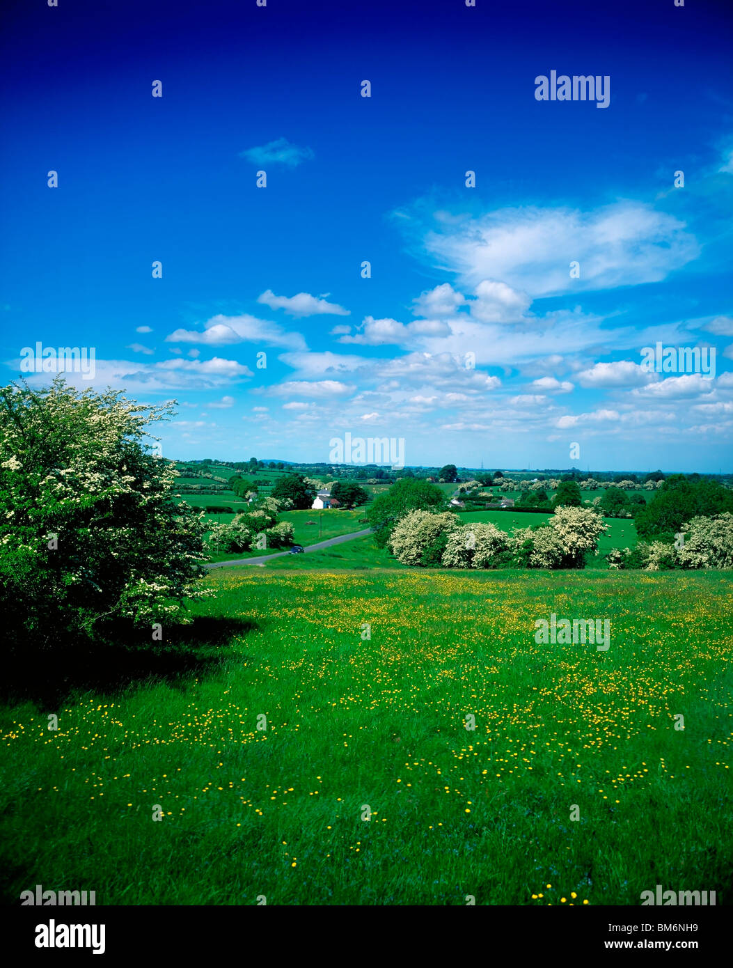 Pastoral, Co Kildare, Ireland Stock Photo - Alamy