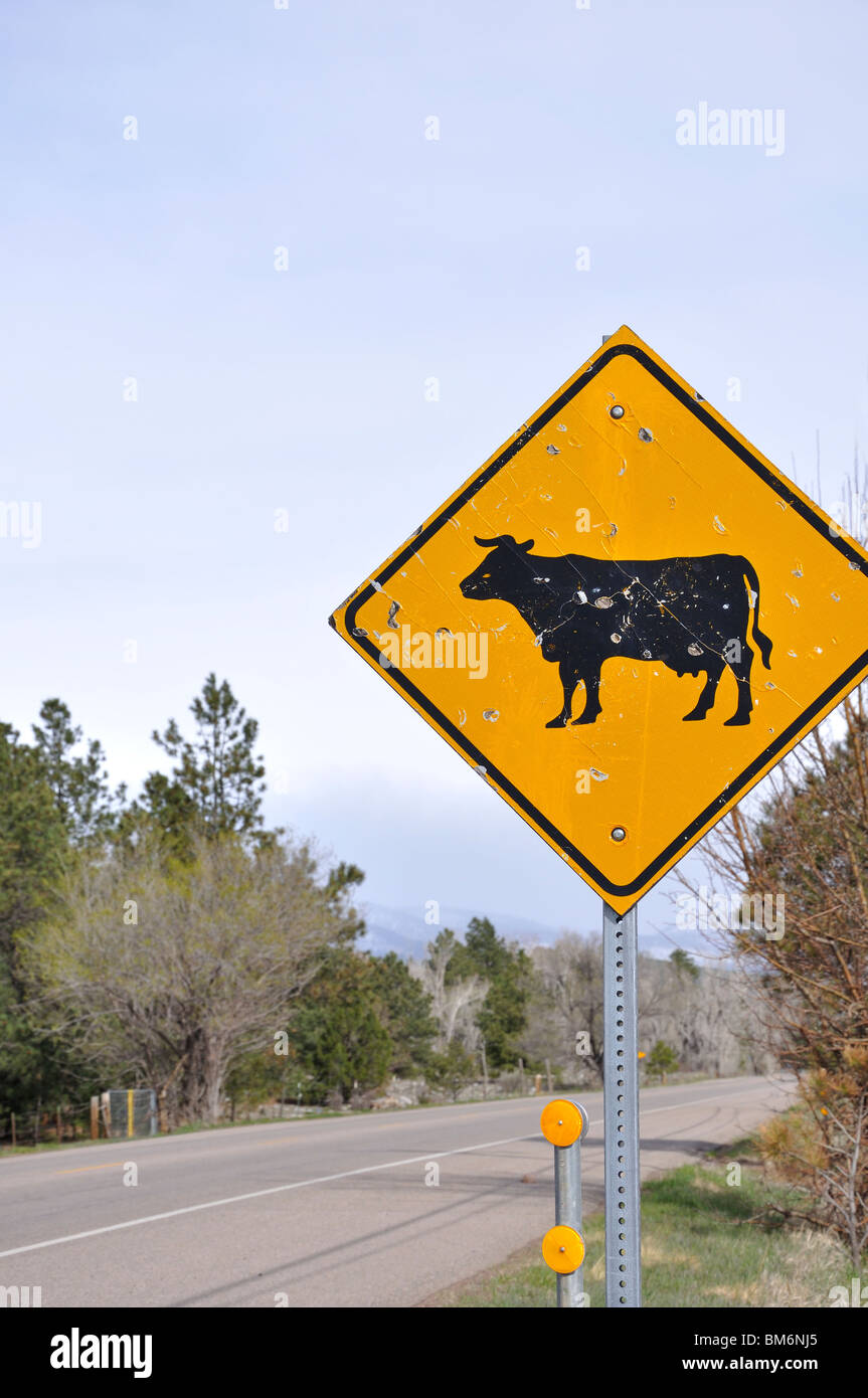 "Cow crossing" road sign, New Mexico, USA Stock Photo - Alamy