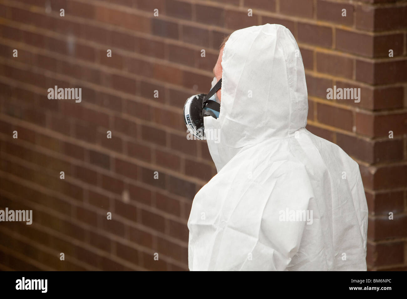 A specialist asbestos removal company removing asbestos from a shed ...