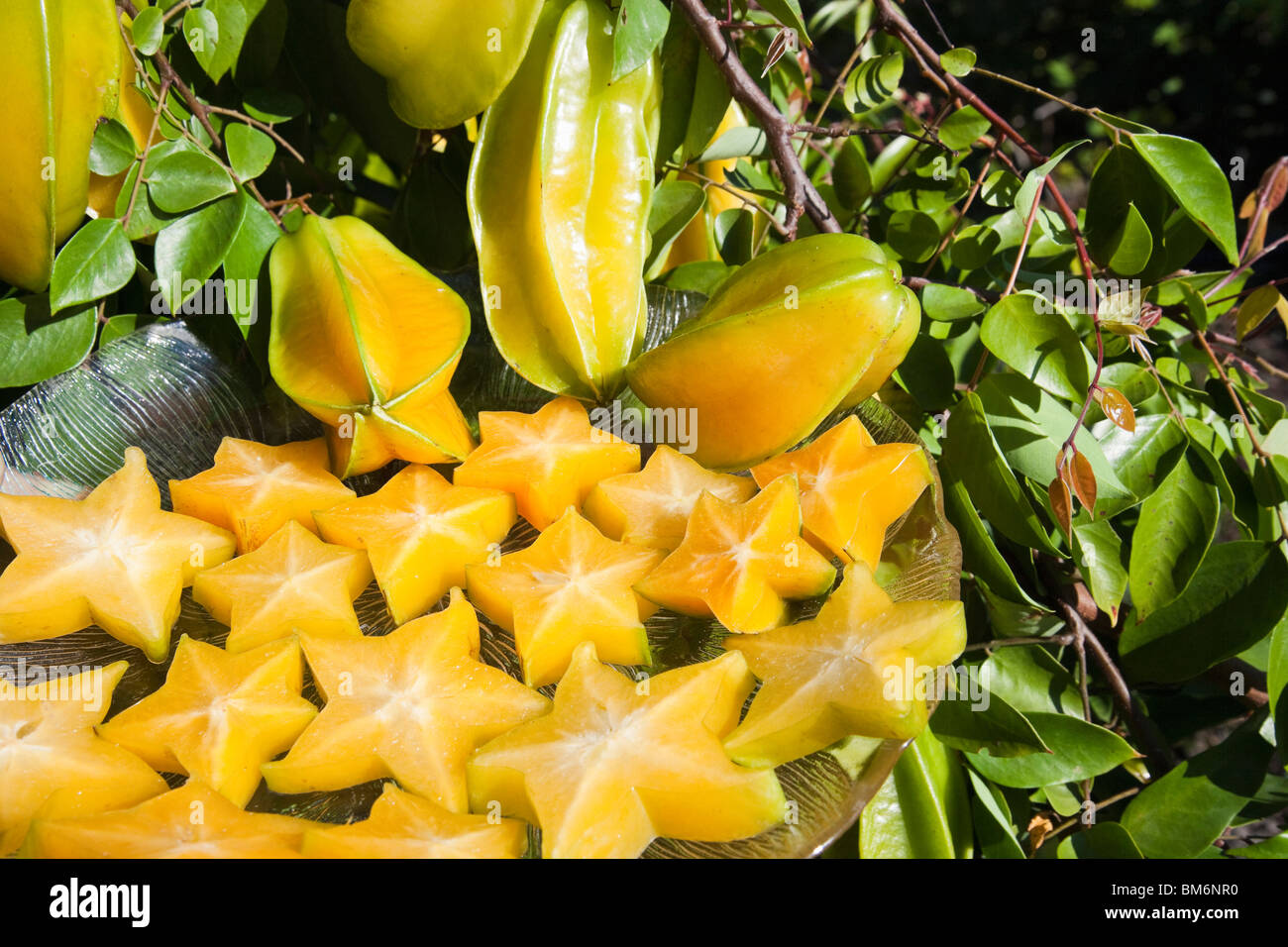 Carambola fruit hi-res stock photography and images - Alamy