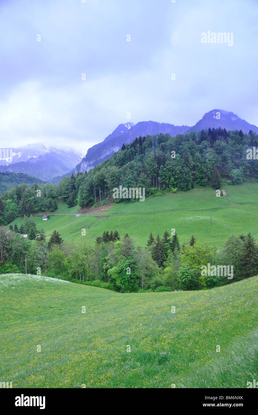 Swiss Alps panorama, Switzerland Stock Photo - Alamy