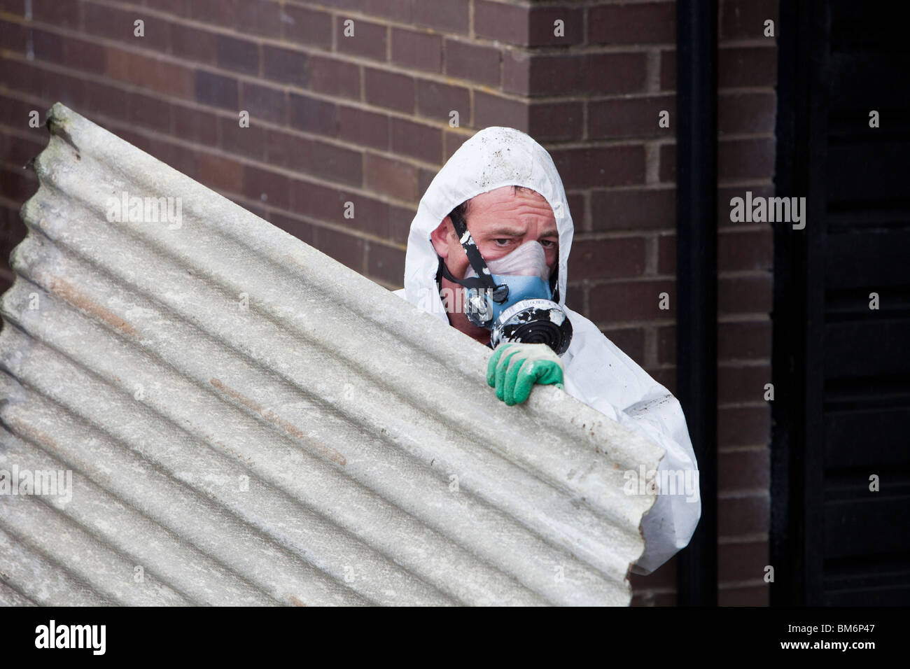 A specialist asbestos removal company removing asbestos from a shed ...