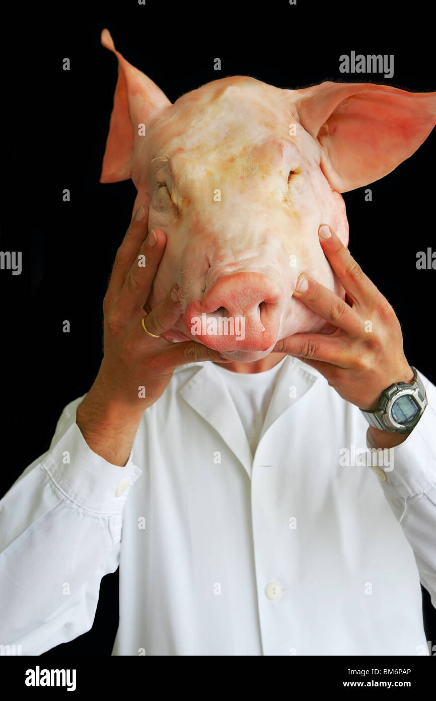 butcher holding a pigs head in front of his face Stock Photo - Alamy