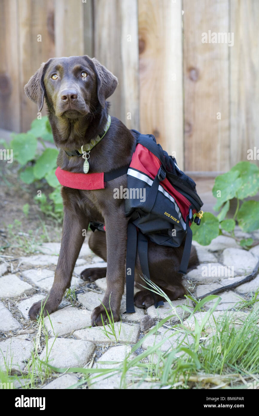 Lab gear hi-res stock photography and images - Alamy