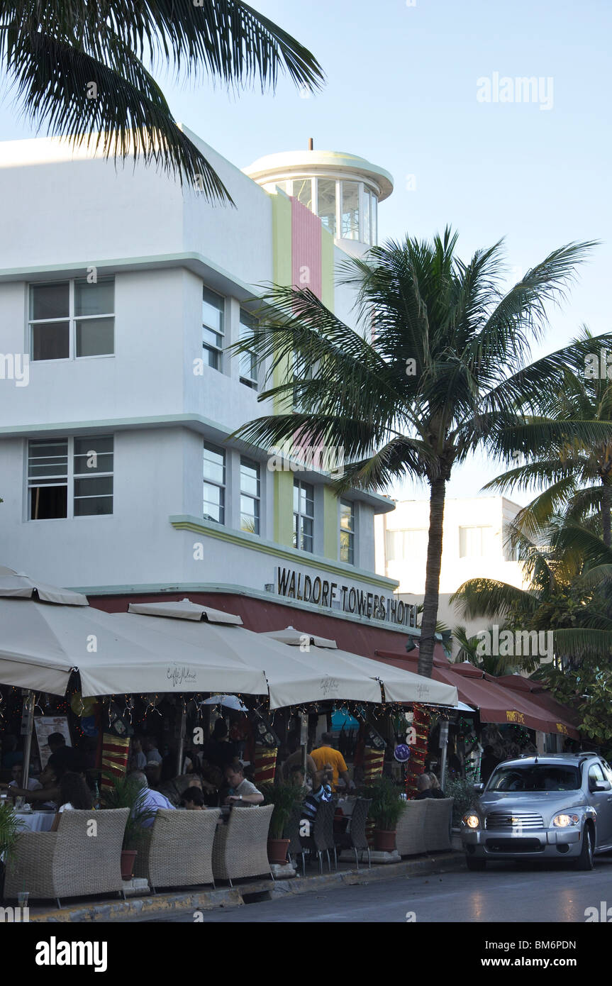 Miami palms hi-res stock photography and images - Alamy