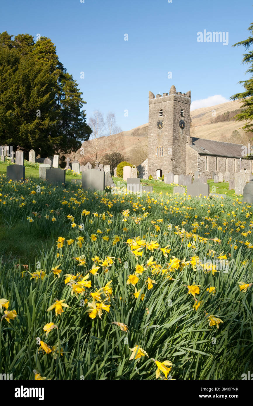 Churchyard wild flowers hi-res stock photography and images - Alamy