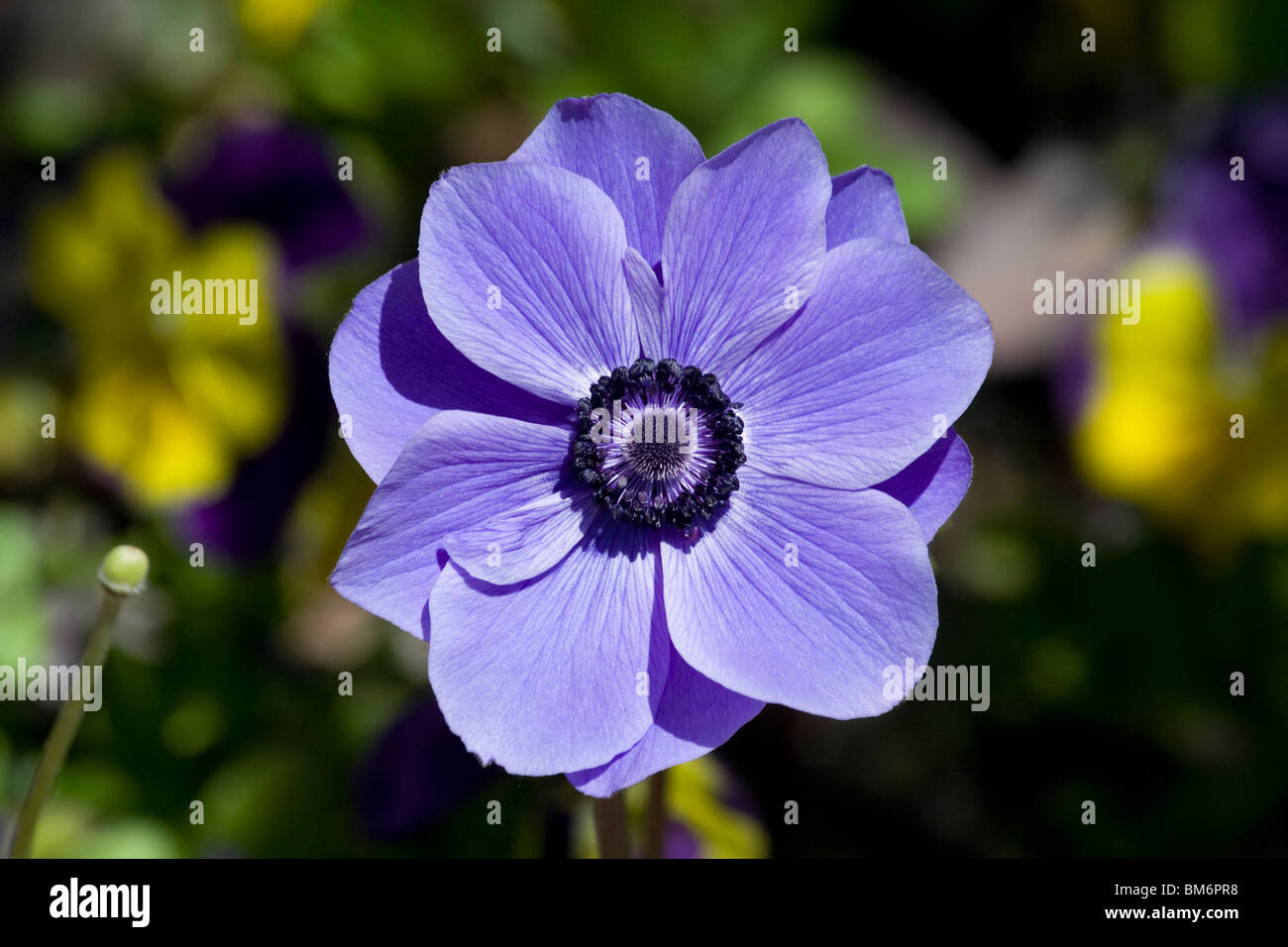 Fokker space hi-res stock photography and images - Alamy